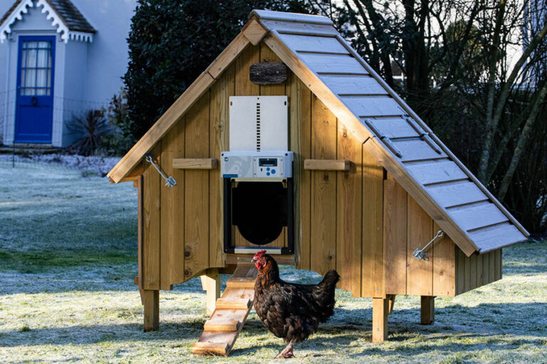 ChickenGuard - The Worlds Best | Automatic Chicken Door Opener