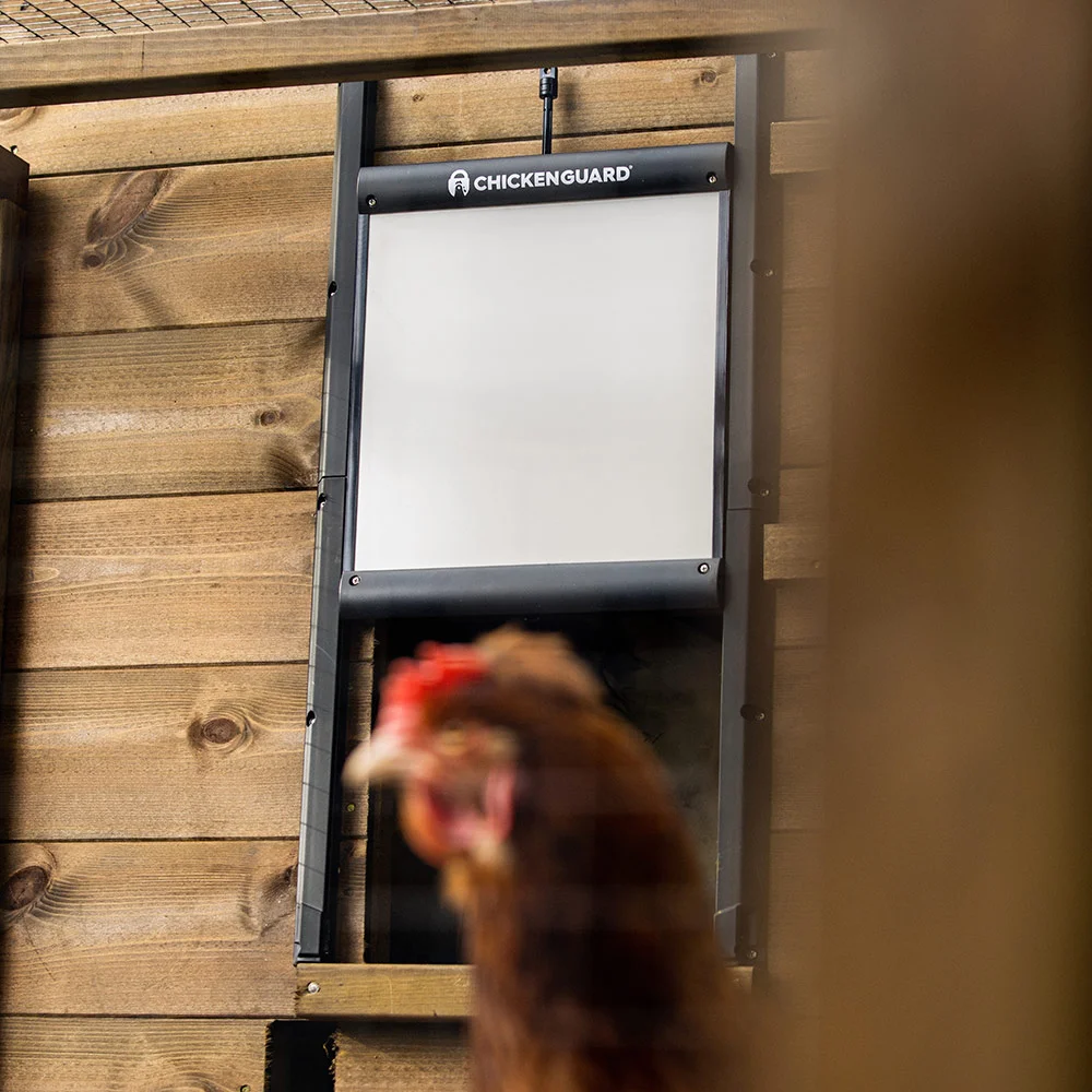 Automatic Chicken Door Shop - ChickenGuard