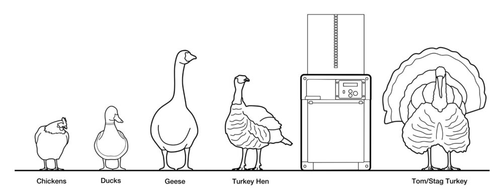 Chickenguard All In One - The Best Automatic Chicken Coop Door